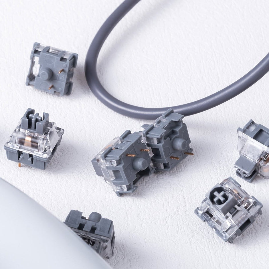 Shop Keycaps, Microphones, Switches and more! Sri Lanka – Disrupt